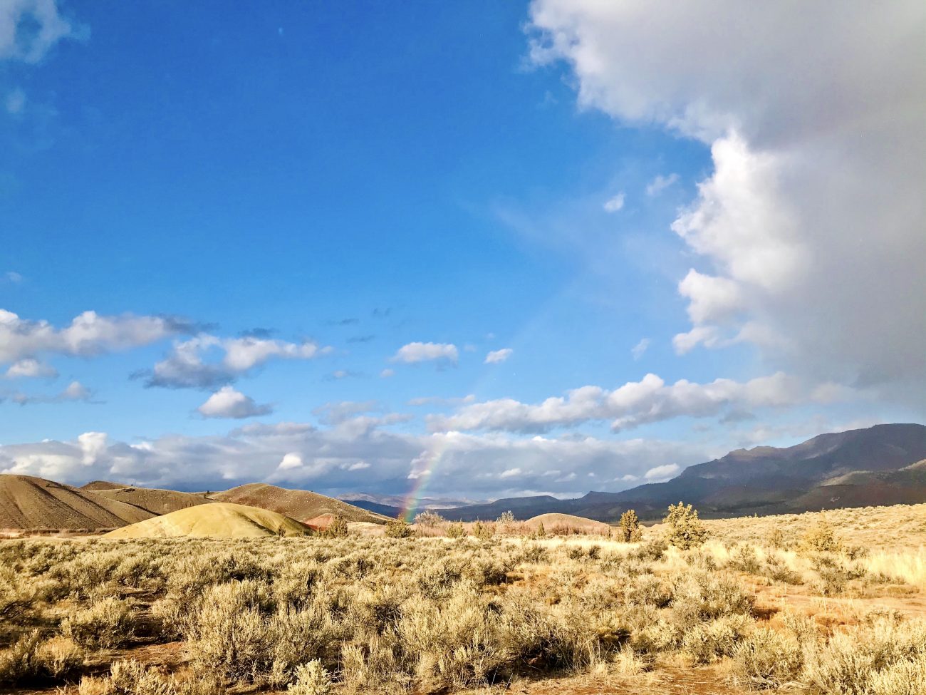Complete Guide to Exploring the Painted Hills Oregon